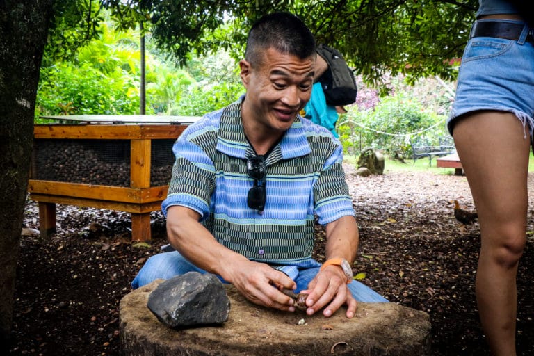 Oahu Macadamia Nut Farm - And You Creations