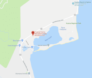 Oahu Macadamia Nut Farm - And You Creations