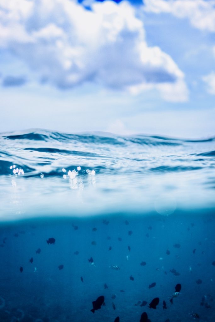 10 Things We Learned from Our Planet High Seas Episode - AYC Tours