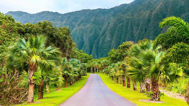 Top Scenic Drives on Oahu: Explore Famous Roads & Routes