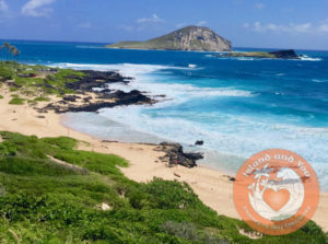 Oahu Circle Island Tour | Food & Local Culture in One Day
