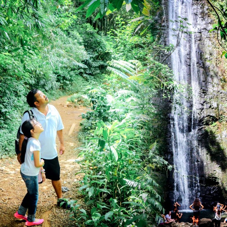 The History of Manoa Valley Waterfall and Trail - And You Creations ...