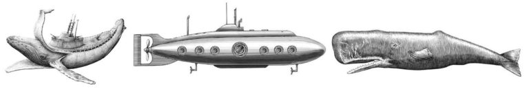 Discover the Surprising Connection Between Whales and Submarine Design - AYC And You Creations