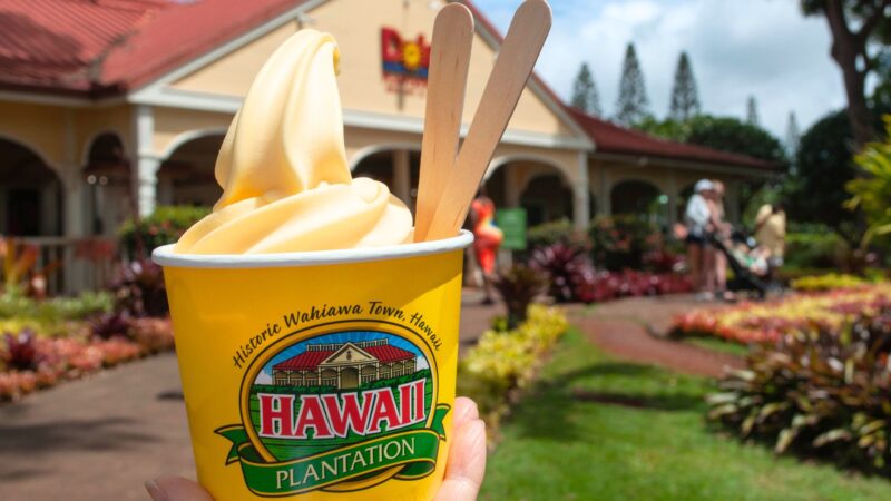 Visit Dole Plantation in Oahu: Top Attractions & Tours