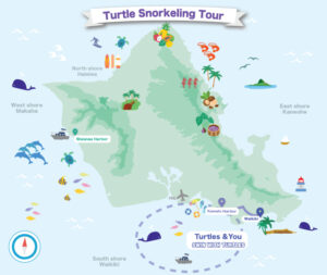 Oahu Turtle Tours, Snorkel with Sea Turtles, Turtle Canyon