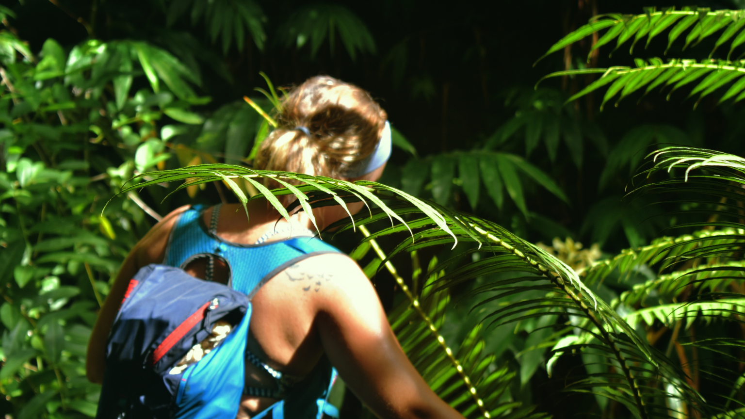 The Rich History of Manoa Falls and Scenic Trail on Oahu, Hawaii