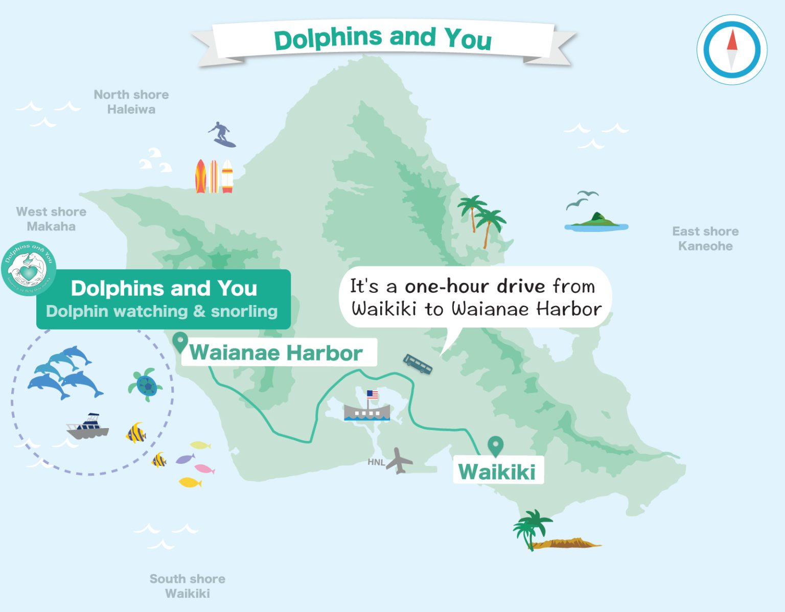 Oahu Dolphin Tour Guide: Everything You Need to Know